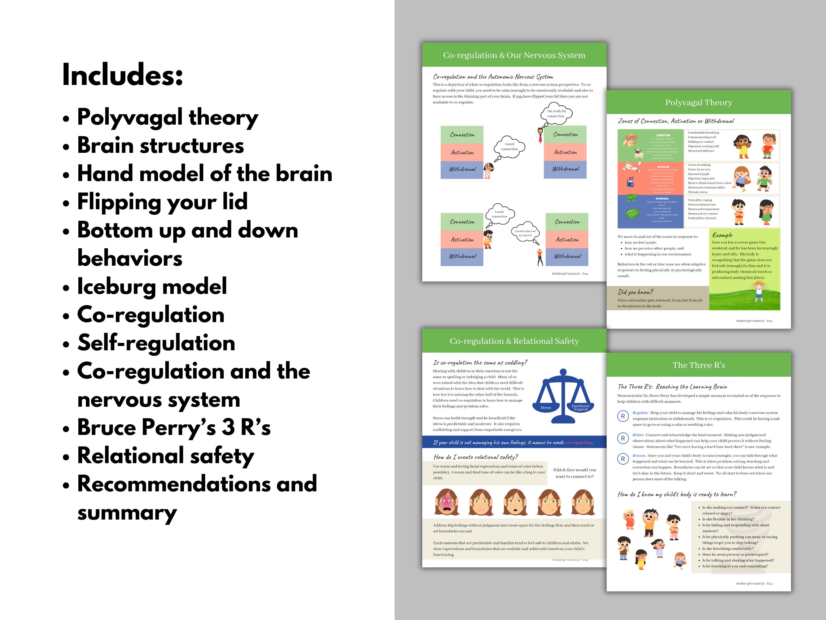 Parenting With the Body Infographic Polyvagal Theory Brain Structures ...