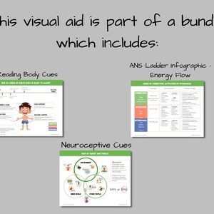 ANS Ladder Infographic Blended States Polyvagal Theory - Etsy