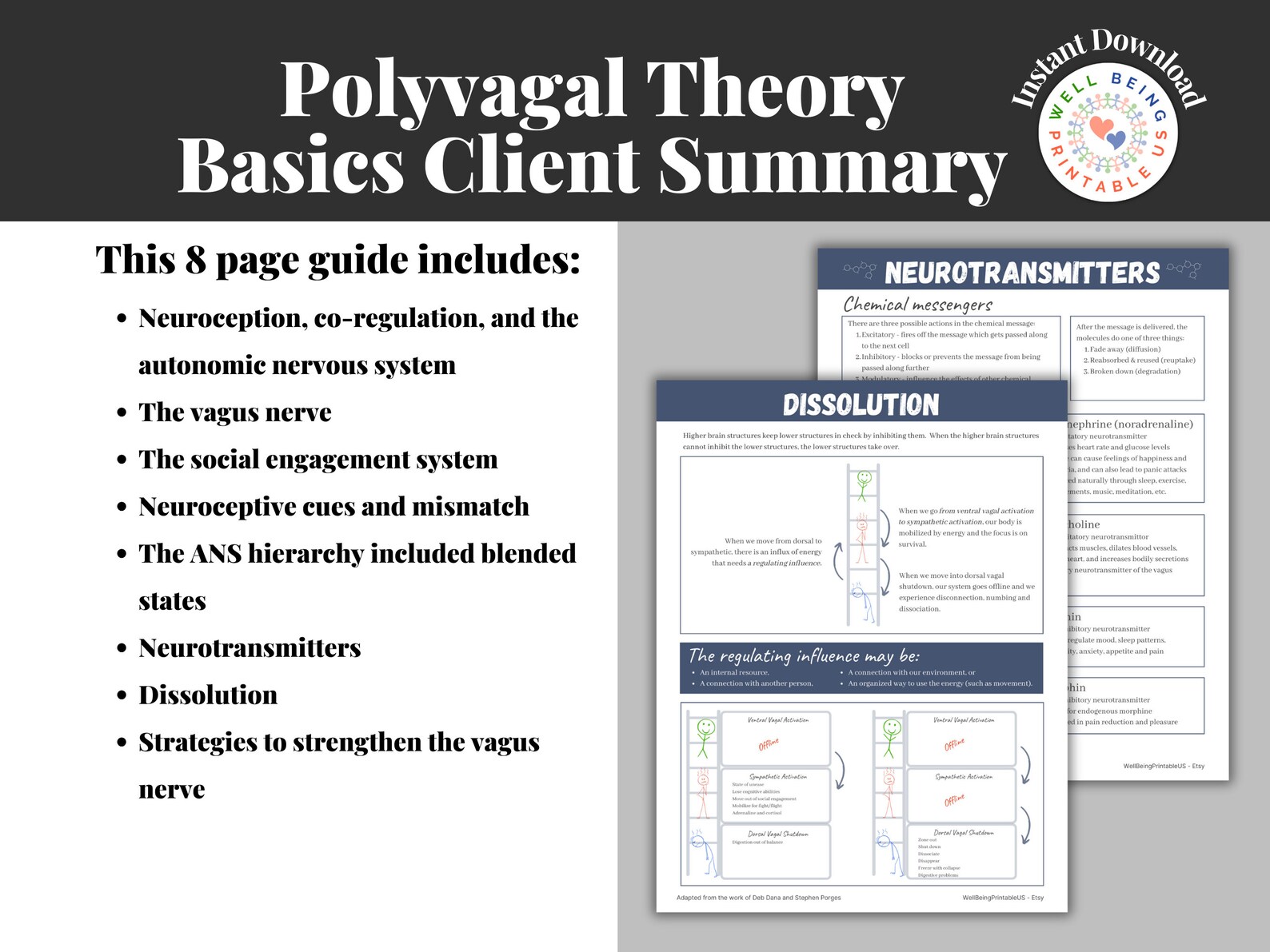 Polyvagal Theory Basics Infographic Neuroception ANS Ladder Co ...