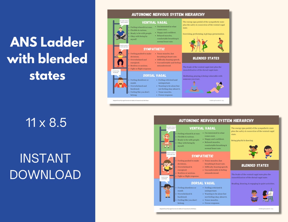 Savings Bundle ANS Ladders Neuroceptive Cues Reading | Etsy