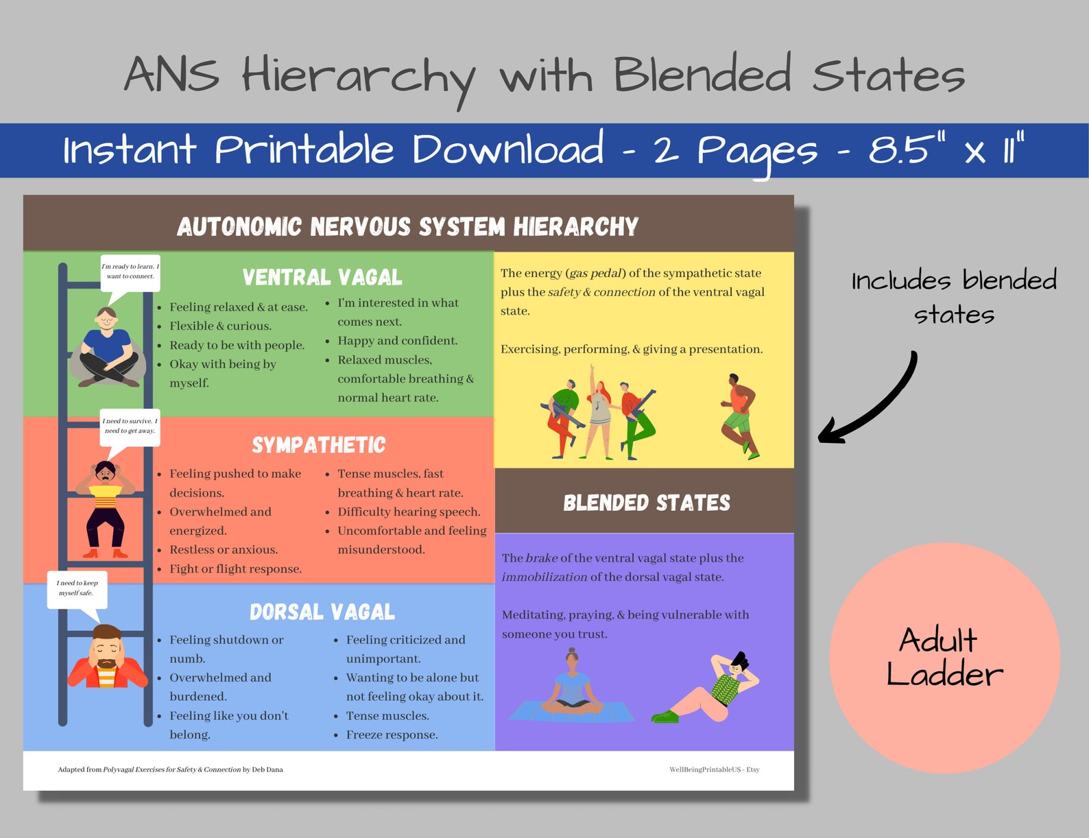 ANS Ladder Infographic Blended States Polyvagal Theory - Etsy UK
