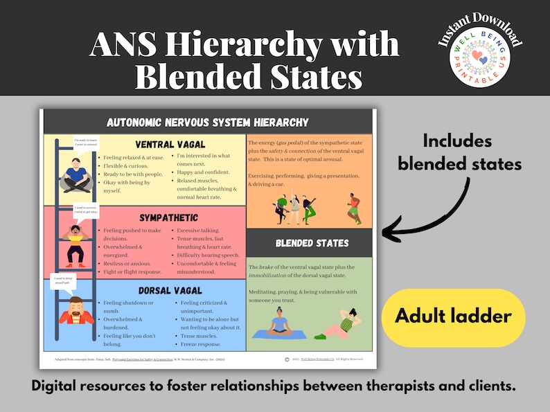 ANS Ladder Infographic | Blended States | Polyvagal Theory - Etsy
