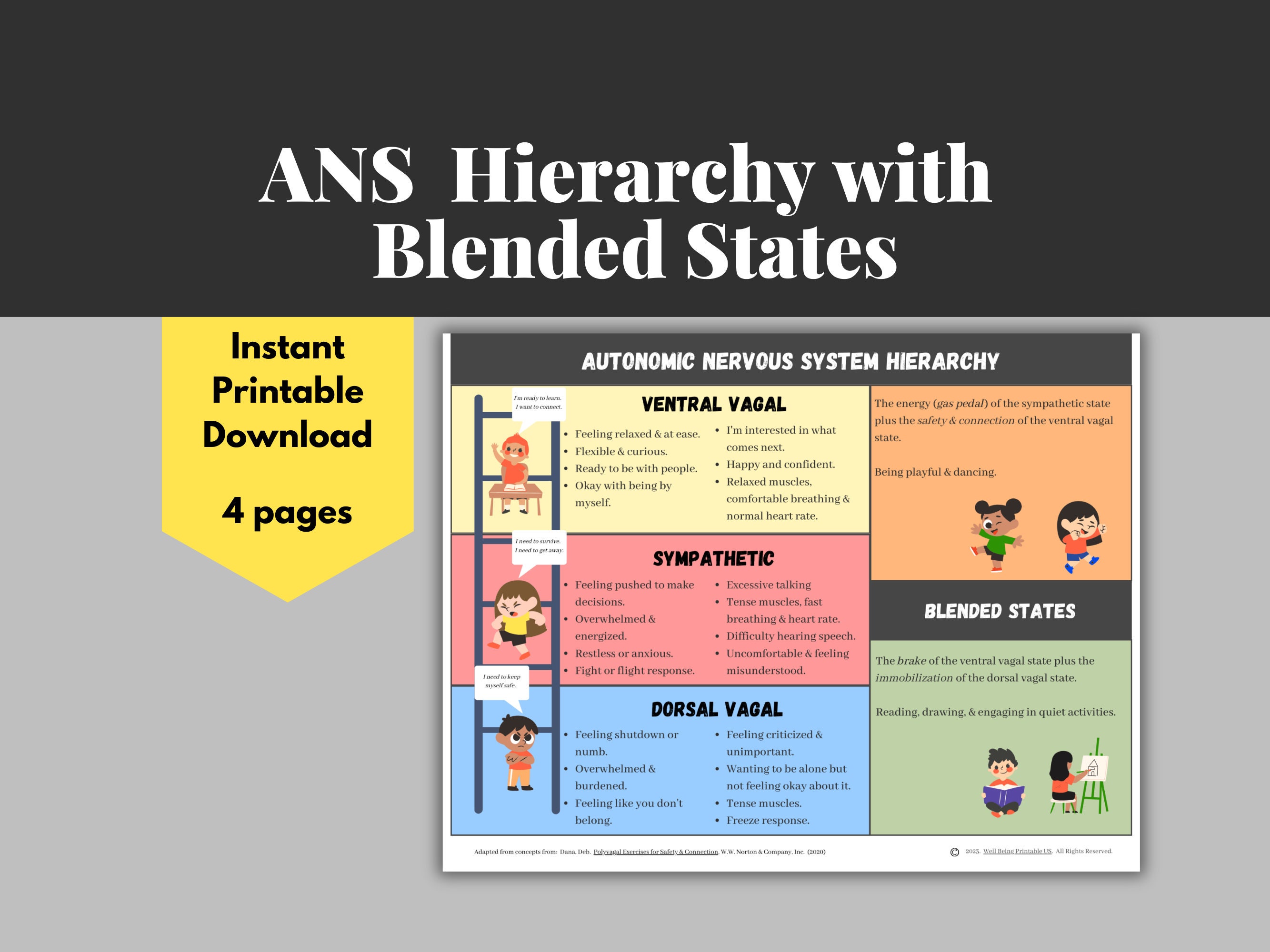 ANS Ladder Infographic | Blended States | Polyvagal Theory - Etsy