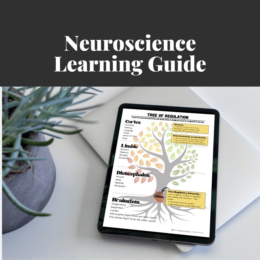 Neuroscience Learning Guide for Therapists | Mental Health Digital ...