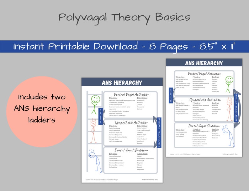 Polyvagal Theory Basics Infographic Neuroception ANS | Etsy UK