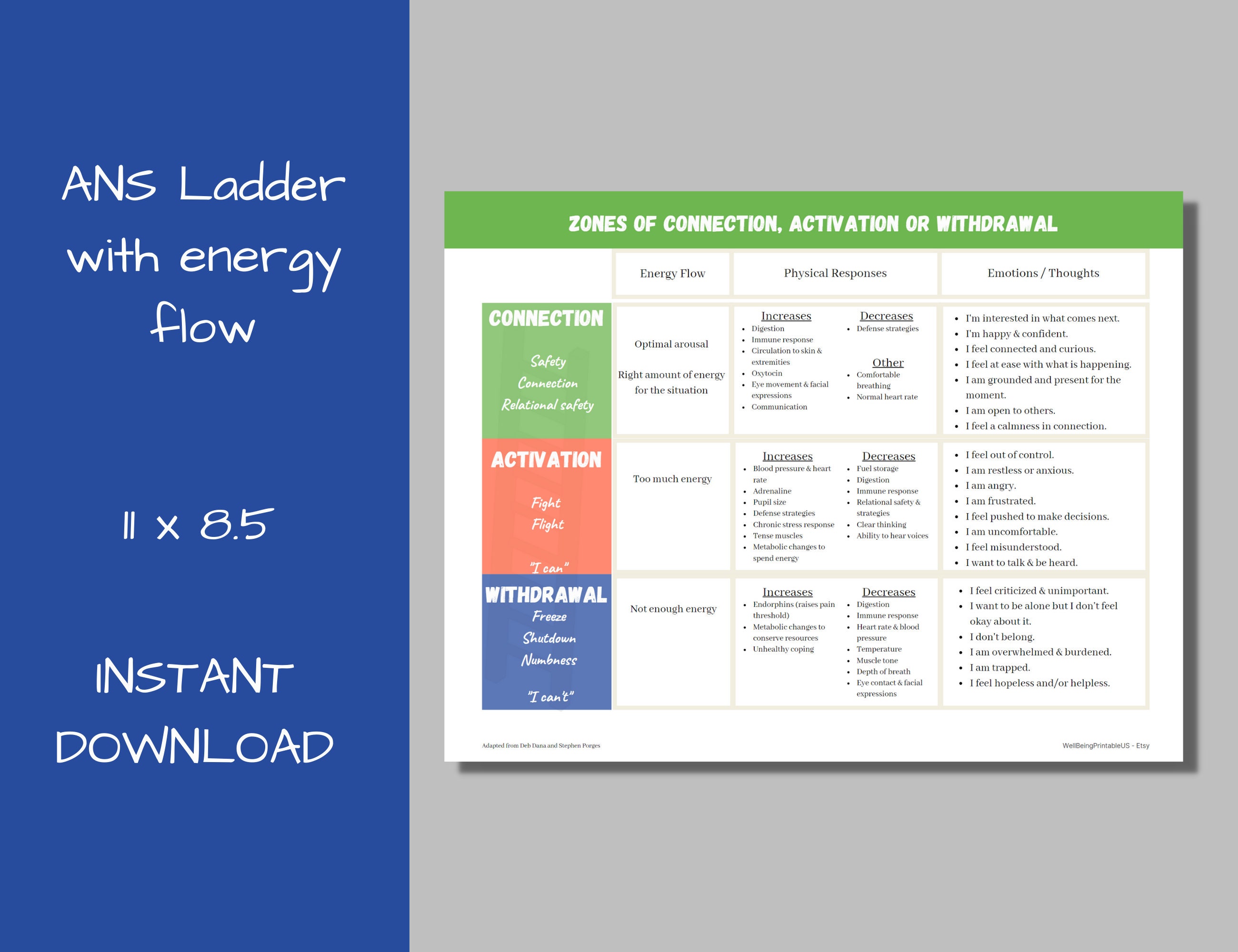 Savings Bundle ANS Ladders Neuroceptive Cues Reading - Etsy