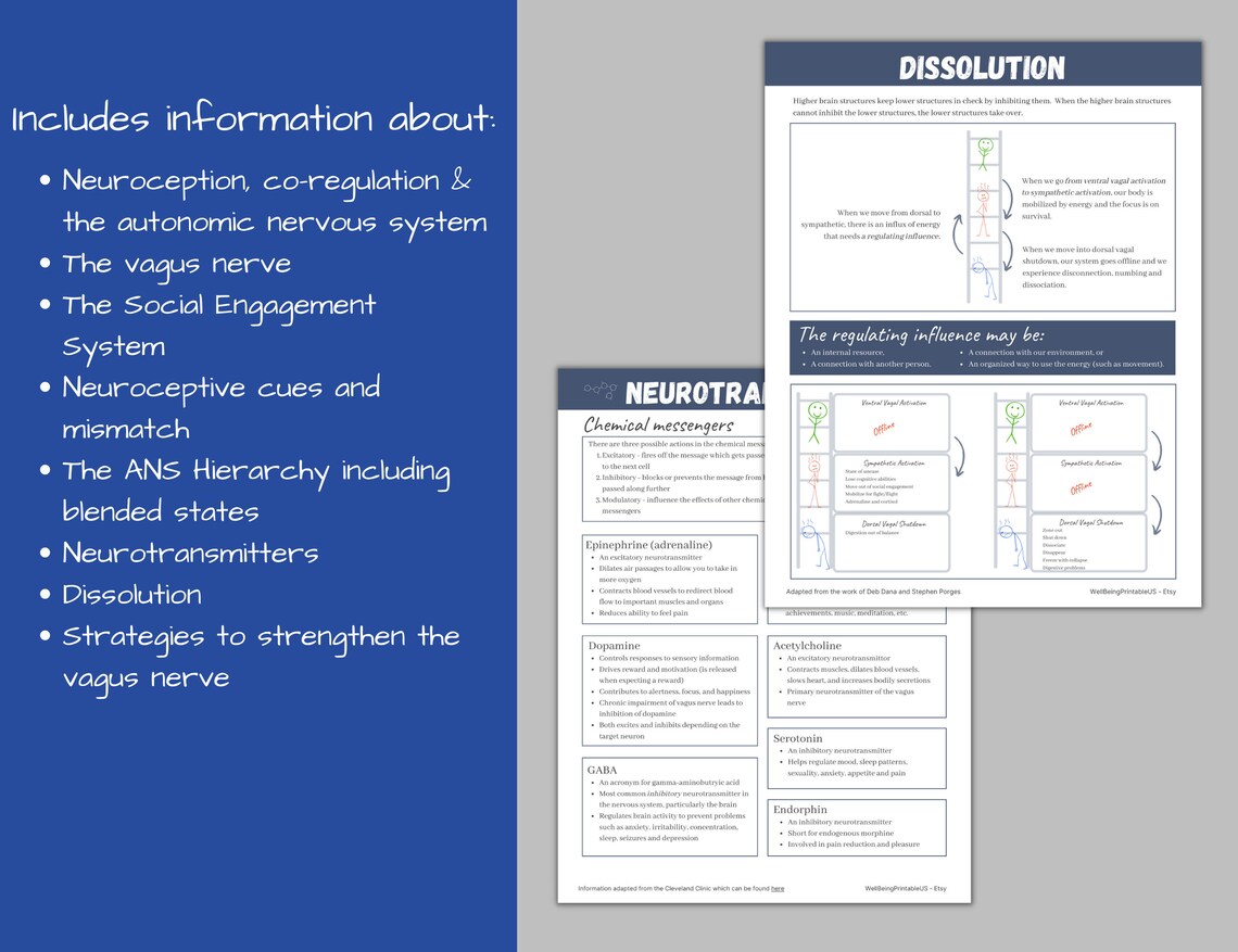 Polyvagal Theory Basics Infographic Neuroception ANS - Etsy