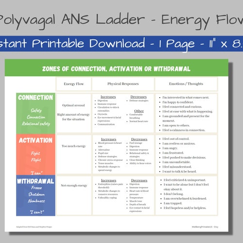 ANS Ladder Infographic Blended States Polyvagal Theory - Etsy