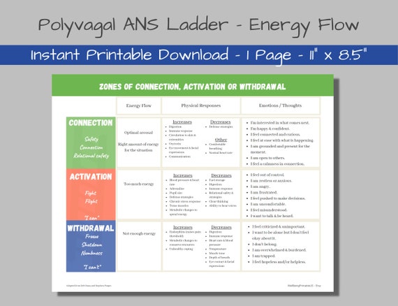 ANS Ladder Infographic Energy Flow Polyvagal Theory - Etsy