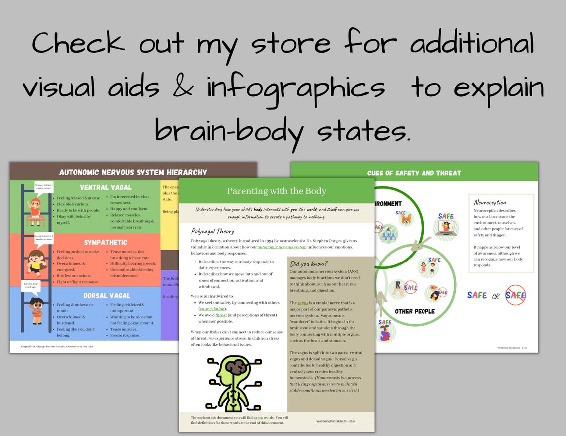 Polyvagal Theory Basics Infographic Neuroception ANS - Etsy