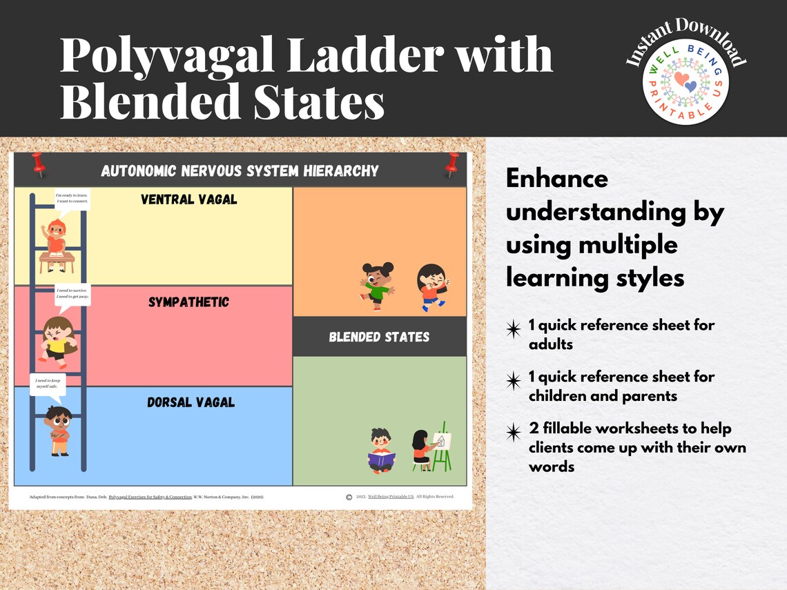 Polyvagal Theory ANS Ladder Mental Health Resource Mental Health ...