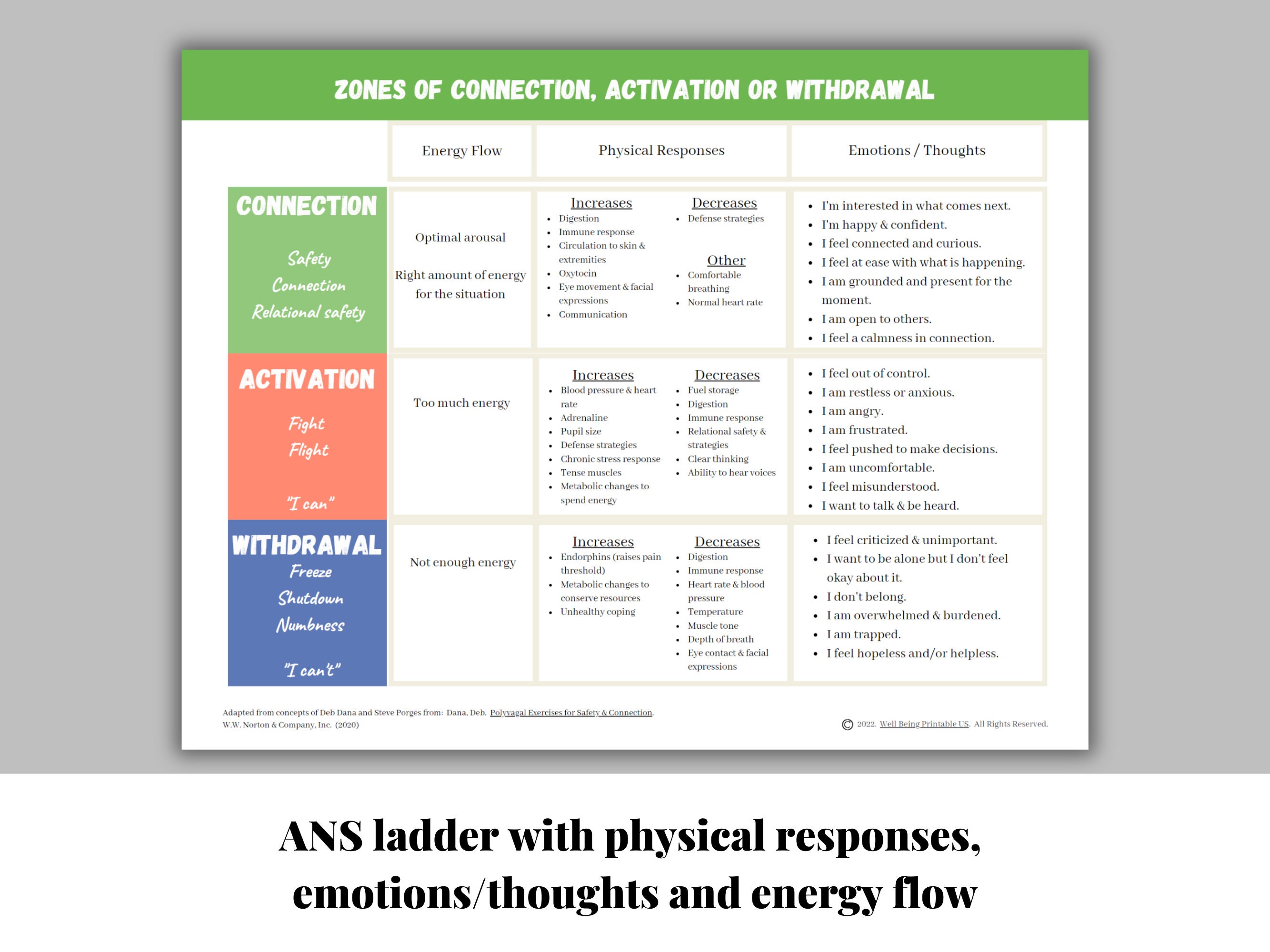 Savings Bundle | ANS Ladders | Neuroceptive Cues | Reading Body Cues ...