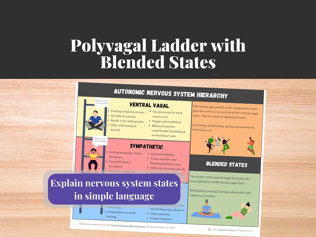 Polyvagal Theory ANS Ladder Mental Health Resource | Mental Health ...