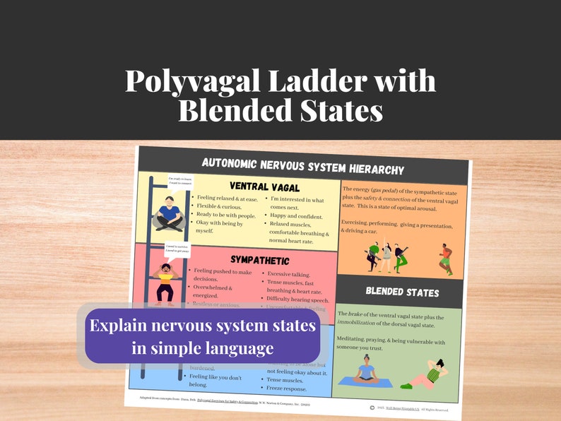 Polyvagal Theory ANS Ladder Mental Health Resource | Mental Health ...