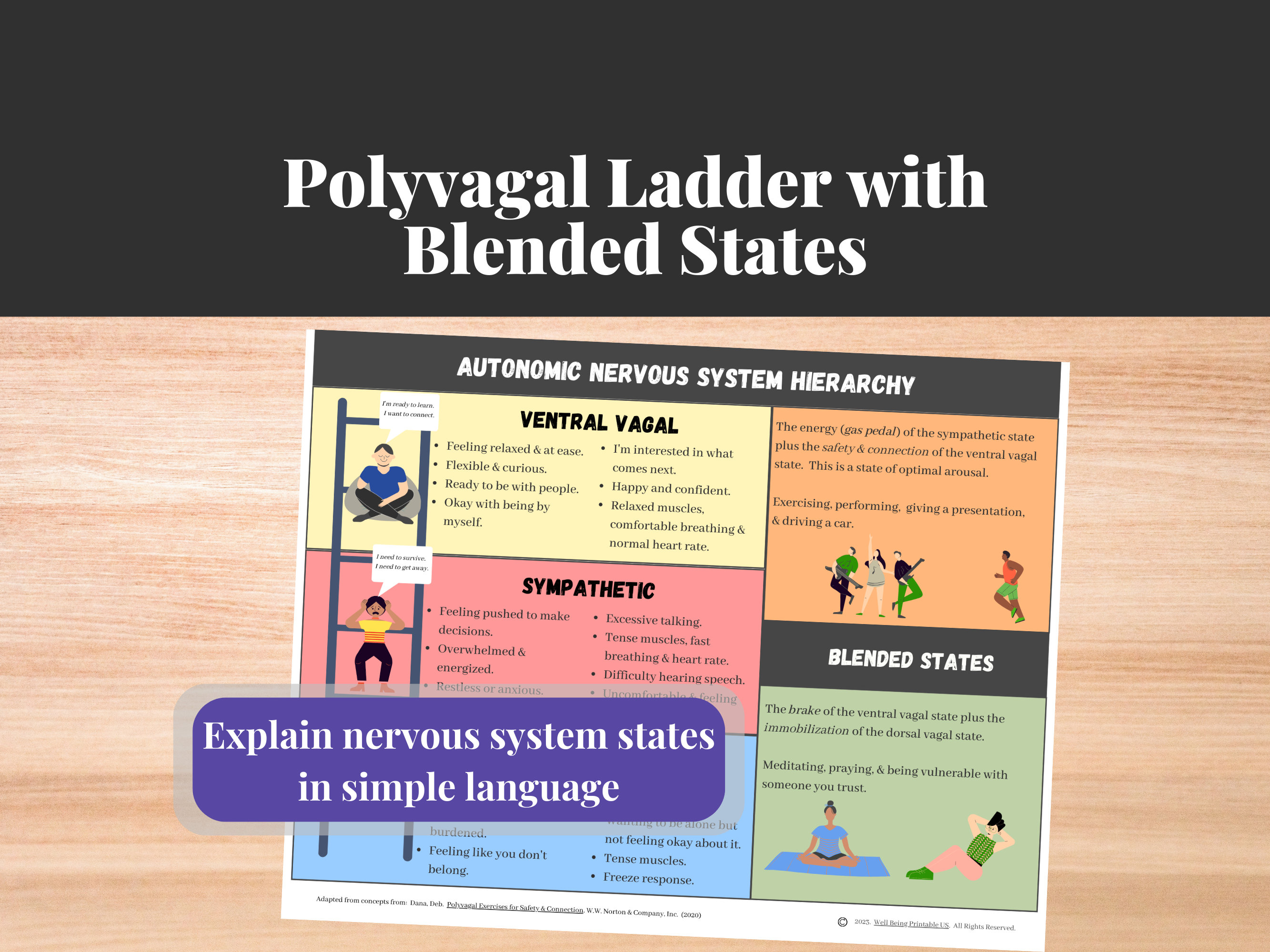 Polyvagal Theory ANS Ladder Mental Health Resource | Mental Health ...