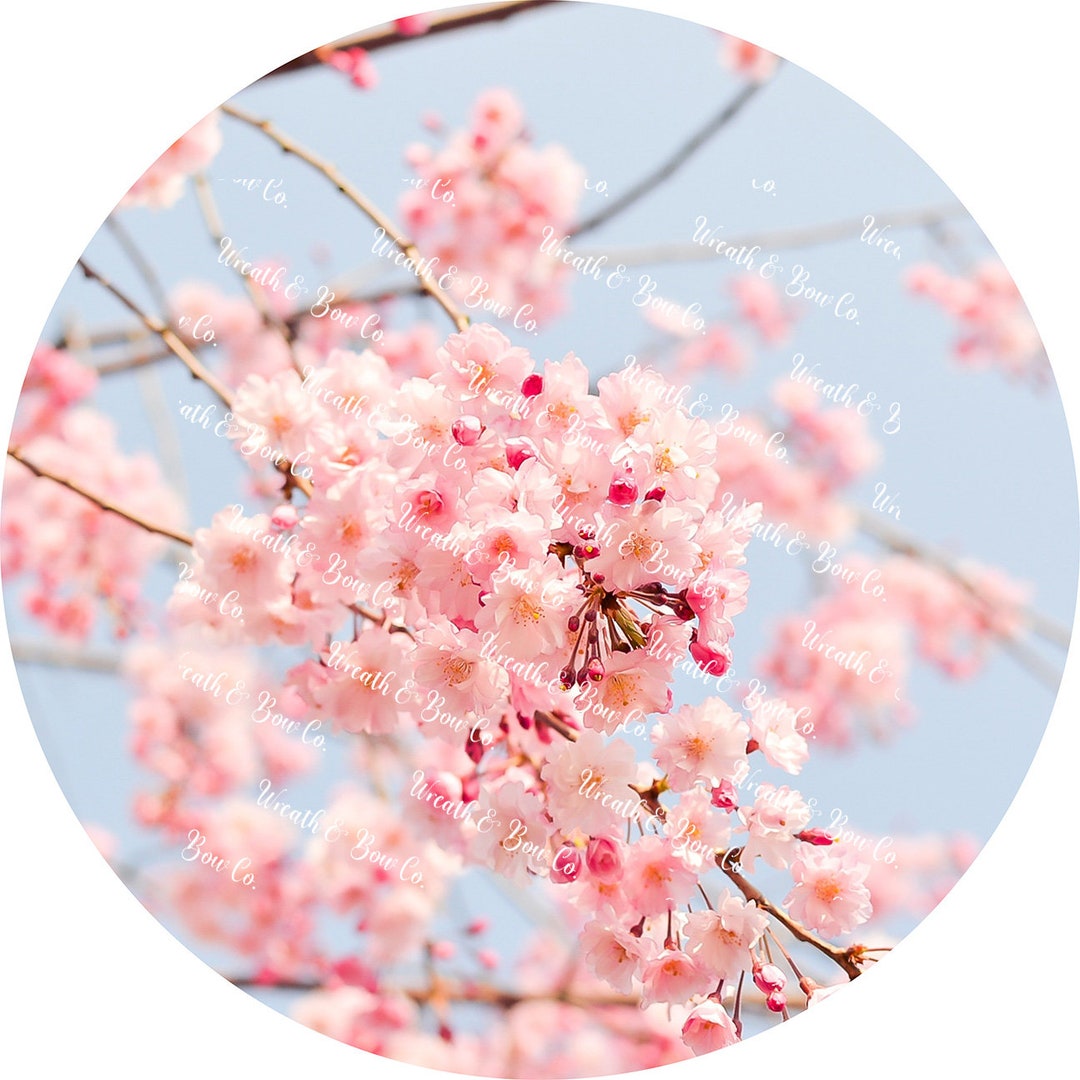 Spring Wreath Sign Choose Your Size Make Your Own Door Hanger Round ...