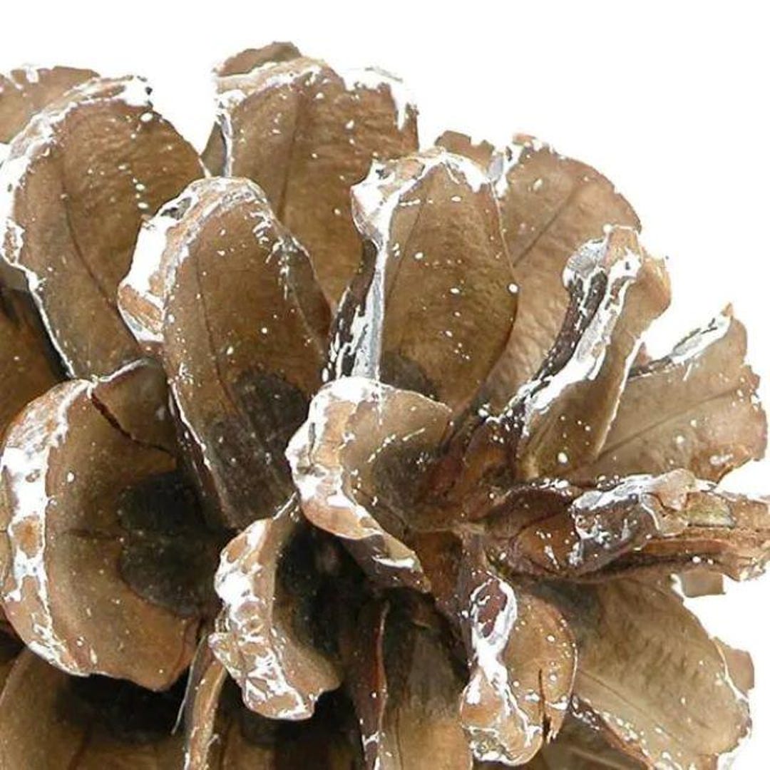 Pine Cone Decorative Picks: 12 Rustic Holiday Ornaments - Etsy