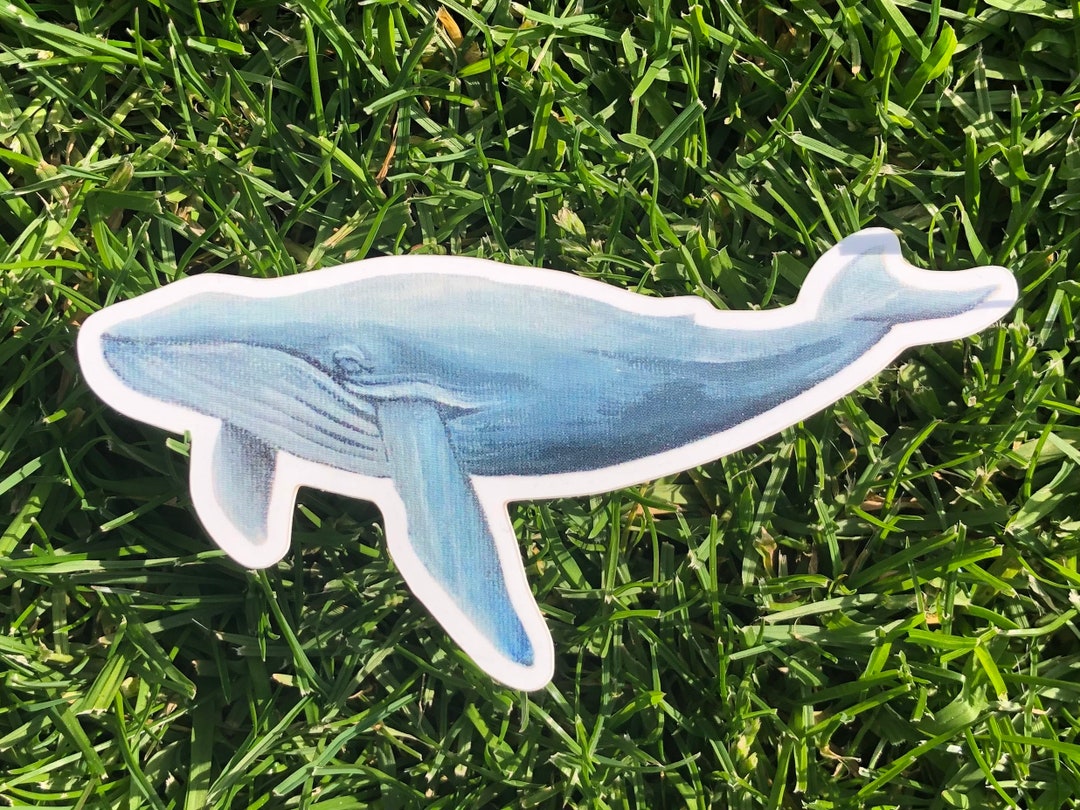Whale Sticker, Acrylic Painting, Ocean Animal, Sea Creature, Whale ...