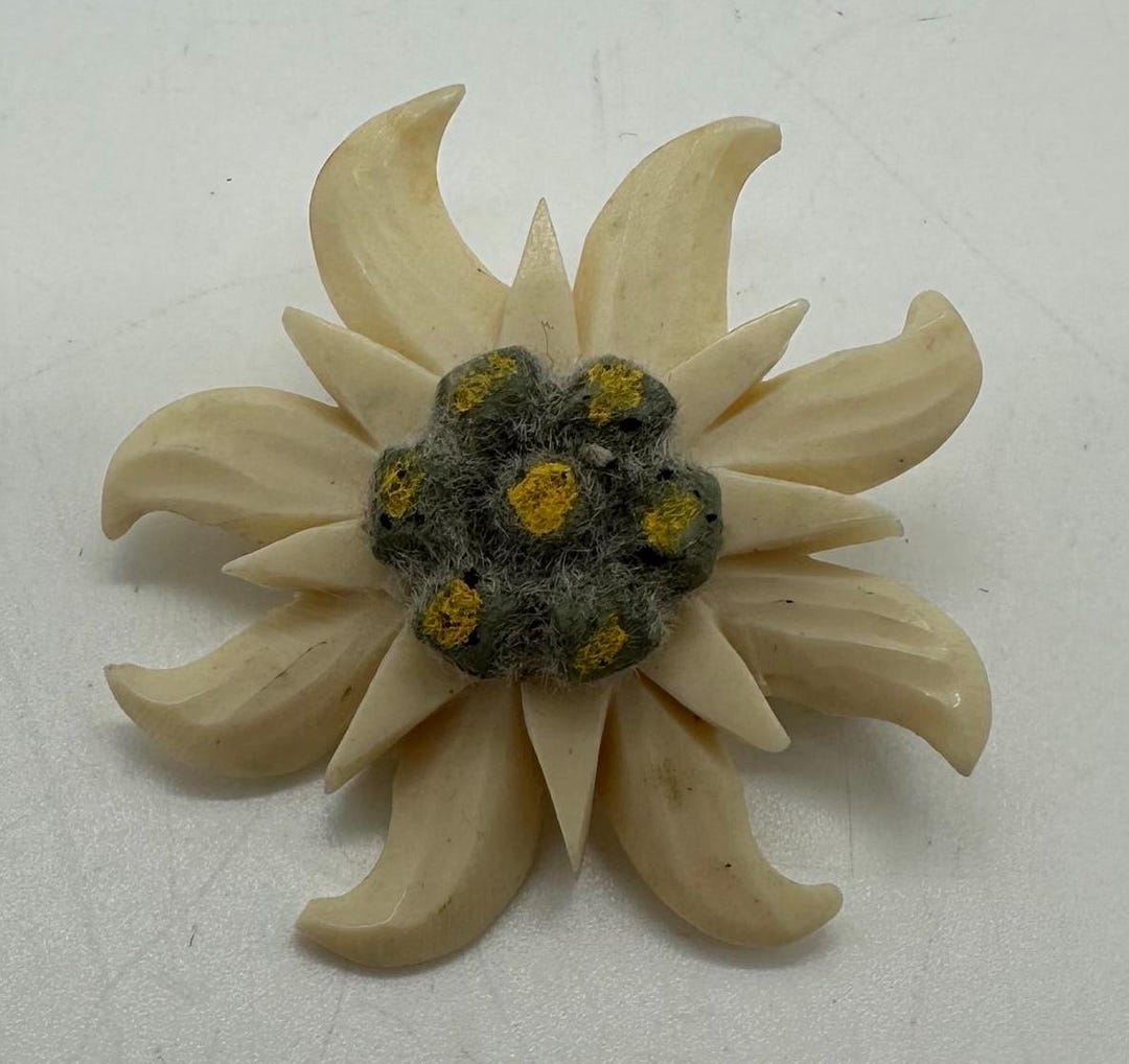 Vintage 1930s Celluloid Edelweiss Flower Brooch - Etsy