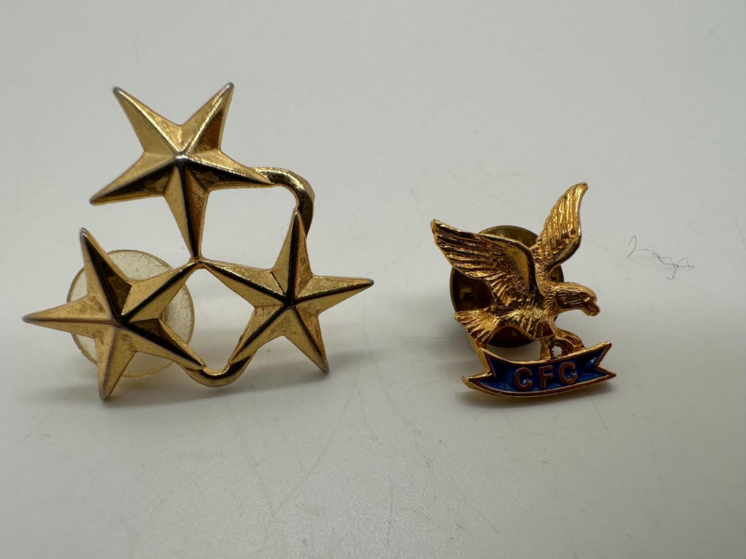 Vintage Military Veteran Pins 2 - Etsy