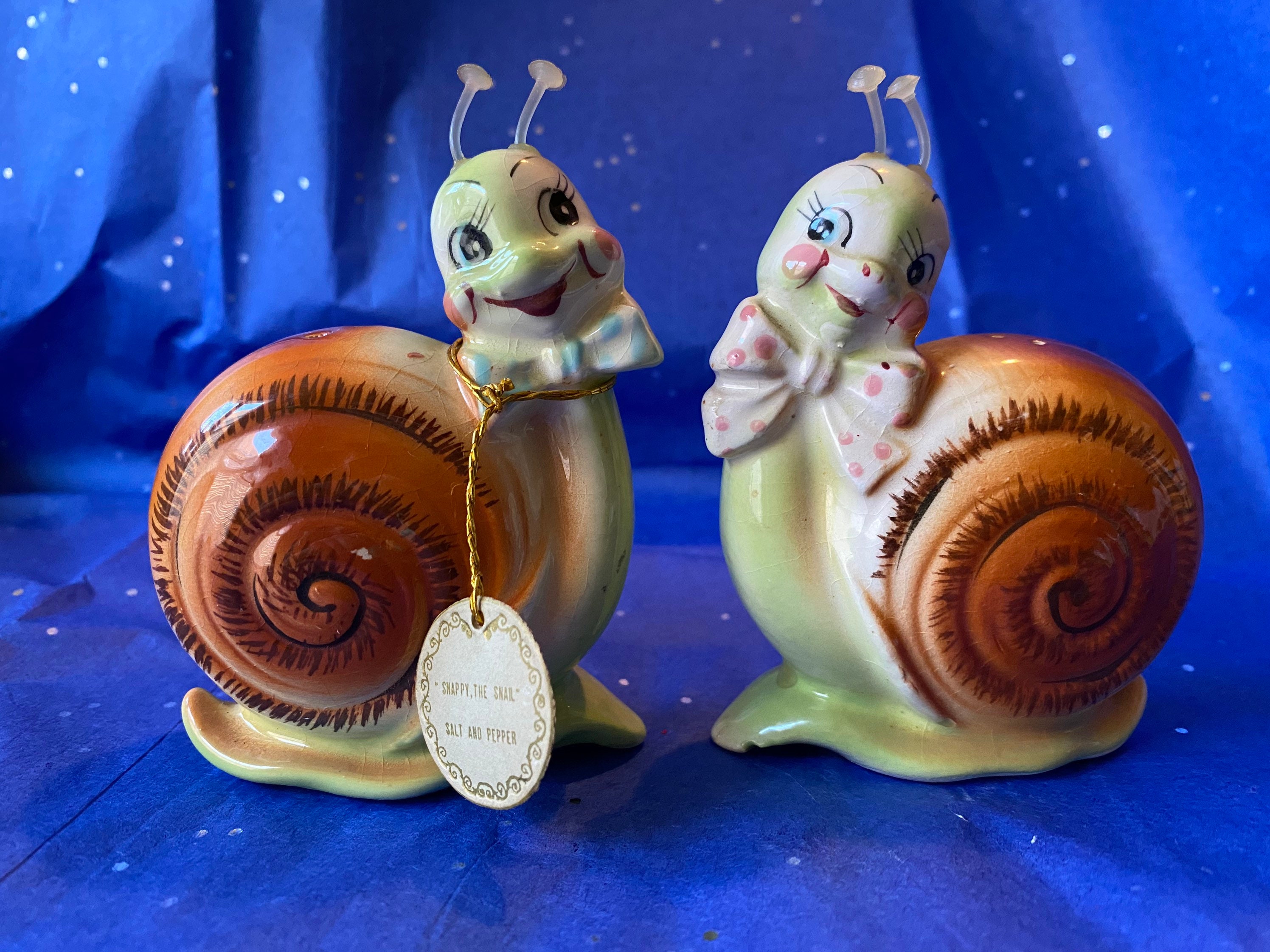 Snail Covered In Salt