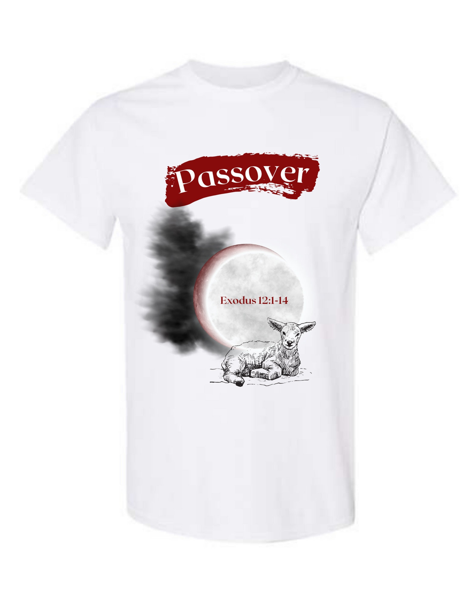 Men's Passover Biblical Shirt, Women of Faith Shirts, Inspirational ...