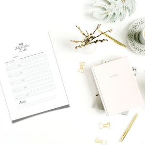 IUI Medication Tracker: Fertility Planner (digital Download) - Etsy
