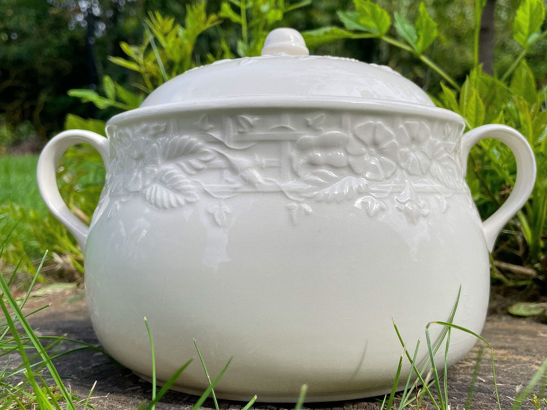 Large Pot Ceramic Embossed Pattern of Flowers and Leaves Complete With ...