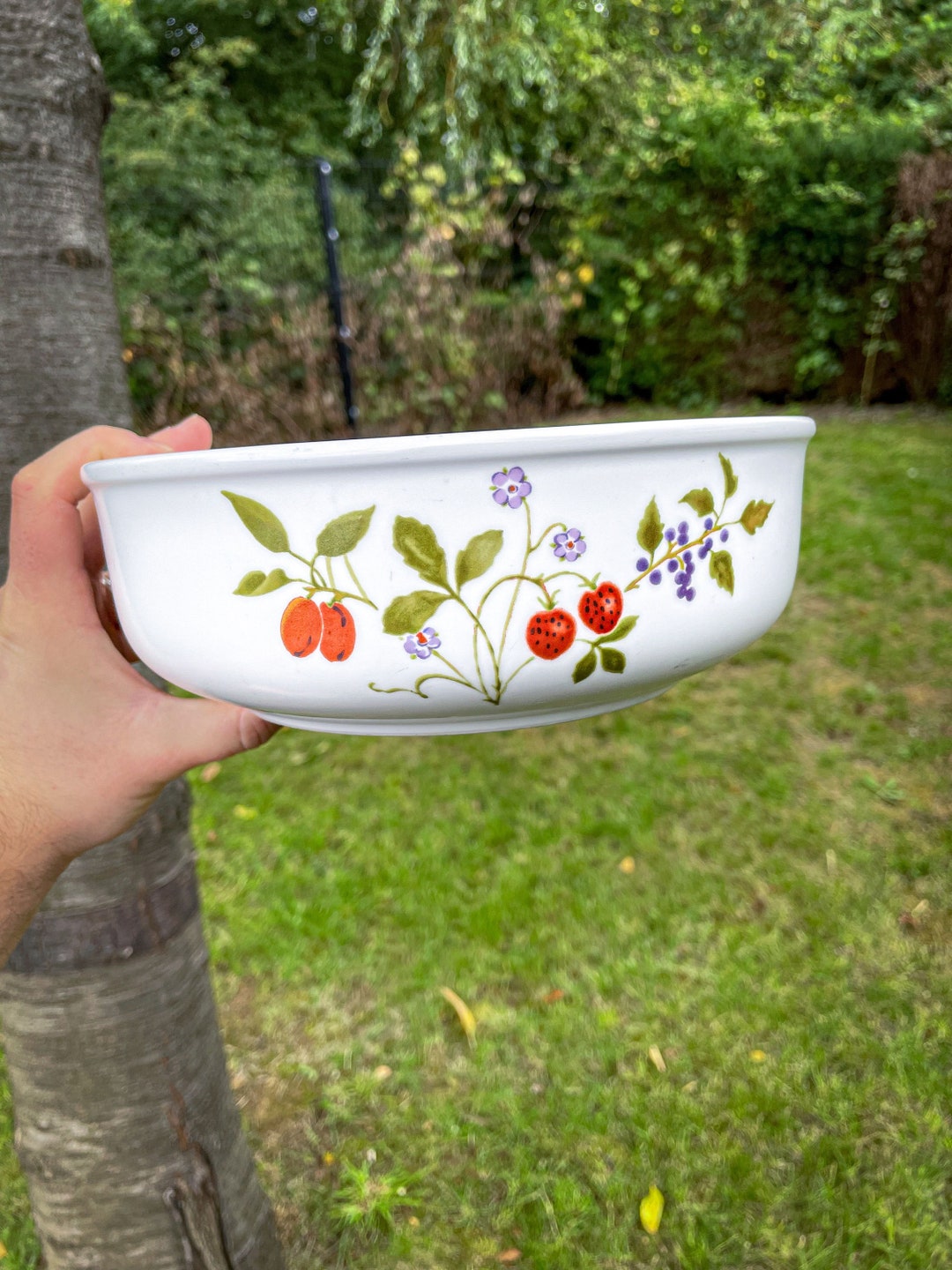 Noritake China Progression berries'n' Such - Etsy Canada