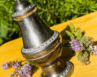 Old Salt Dispenser - Etsy