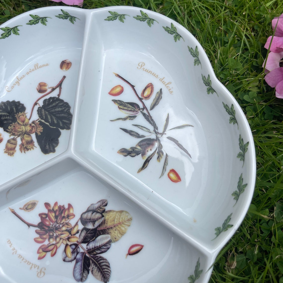 Vintage 3 Segment Platter Tray the Regal White With A - Etsy