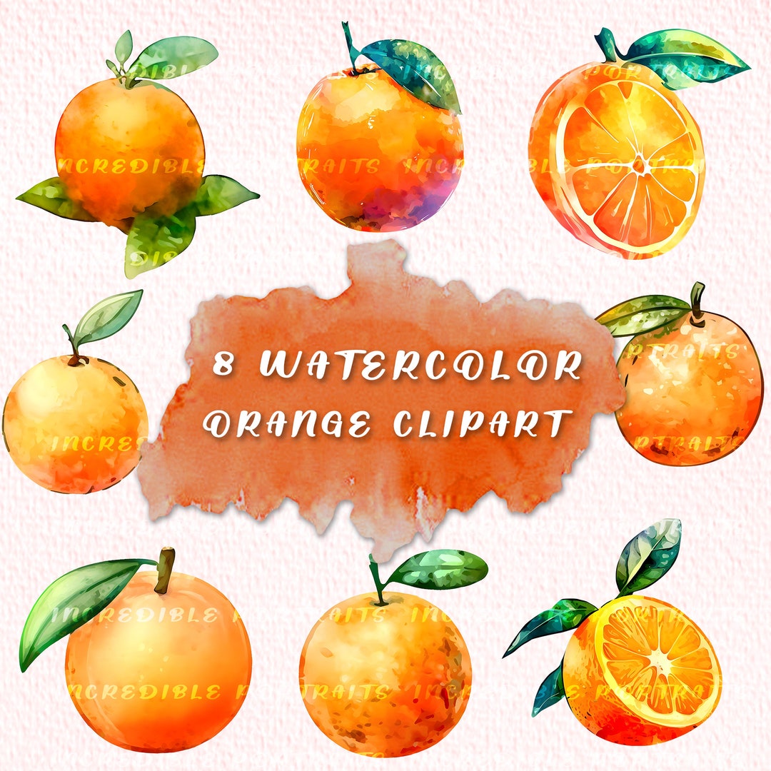 Watercolor Oranges Clipart Digital Png Citrus Graphics for - Etsy