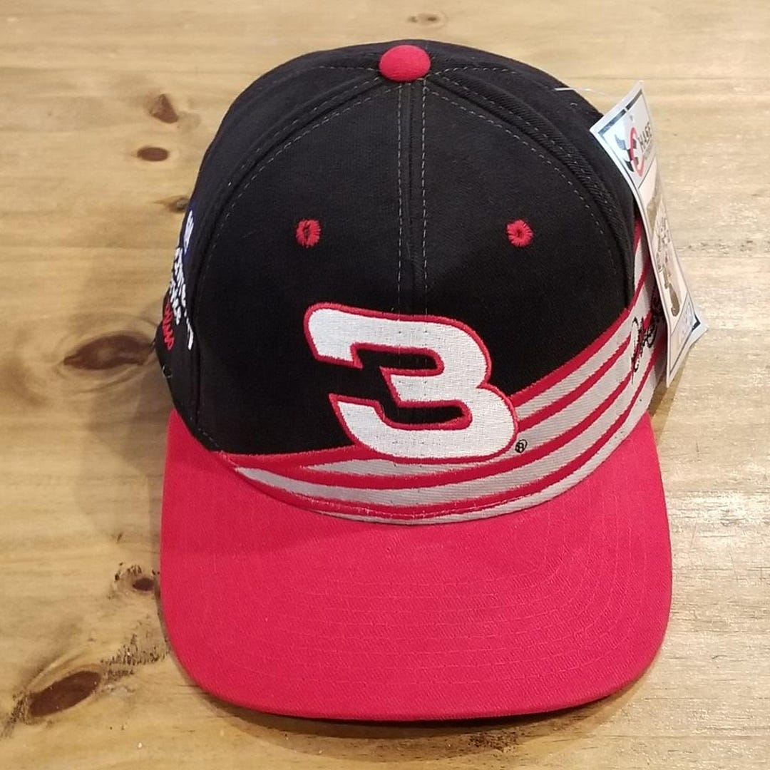 Vintage Dale Earnhardt Hat Stripe Wrap Embroidered Snapback Chase ...