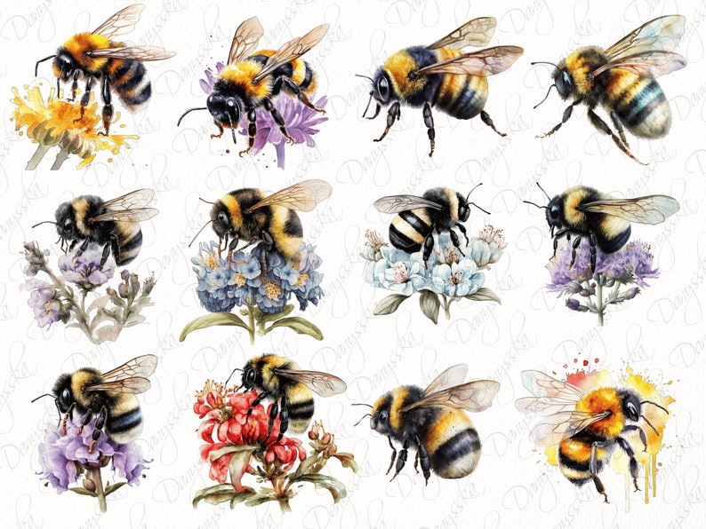 Watercolor Bumble Bee Clipart, Watercolor Clipart, Transparent PNG ...