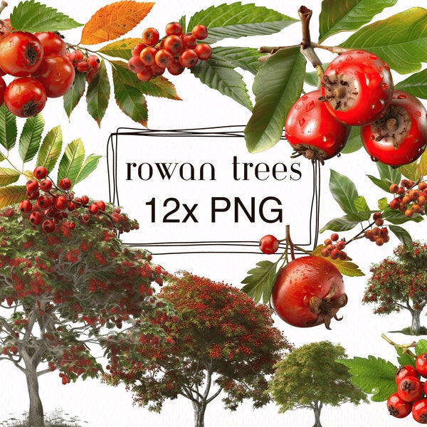 Rowan Tree Art - Etsy
