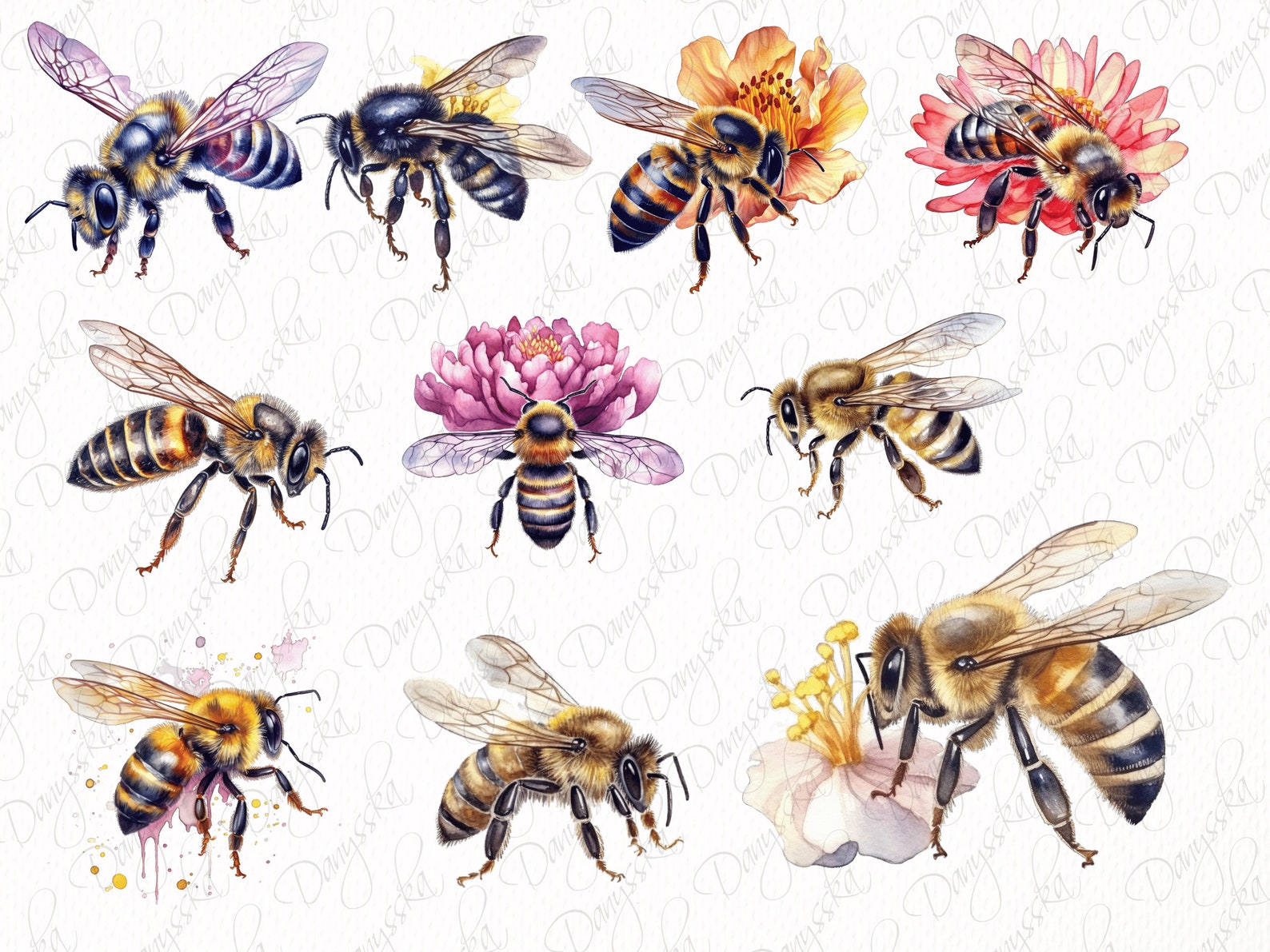 Watercolor Bee Honey Bee Watercolor Clipart Bees and - Etsy