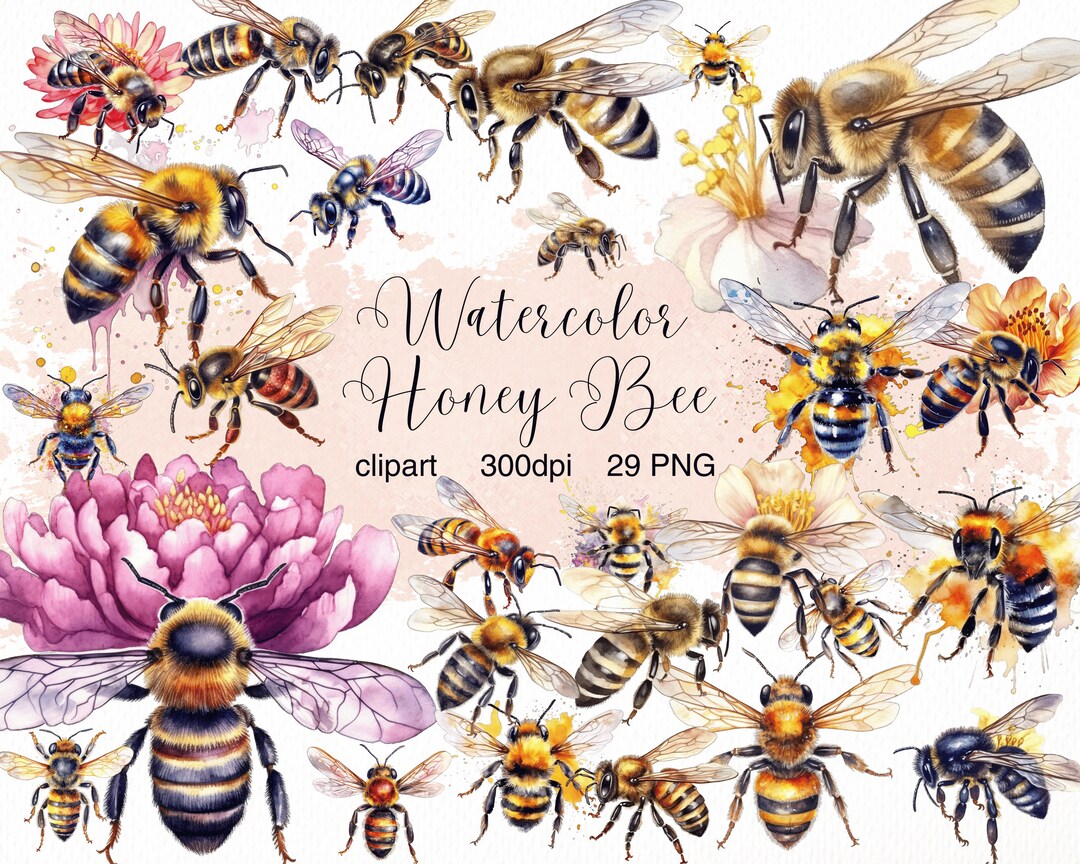 Watercolor Bee, Honey Bee, Watercolor Clipart, Bees and Flowers ...