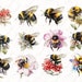 Watercolor Bumble Bee Clipart, Watercolor Clipart, Transparent PNG ...