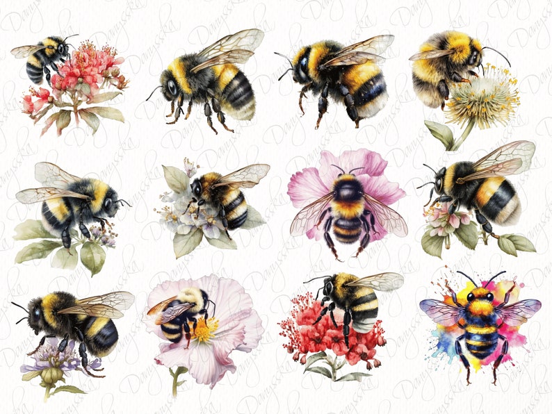 Watercolor Bumble Bee Clipart, Watercolor Clipart, Transparent PNG ...