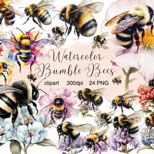 Watercolor Bumble Bee Clipart, Watercolor Clipart, Transparent PNG ...