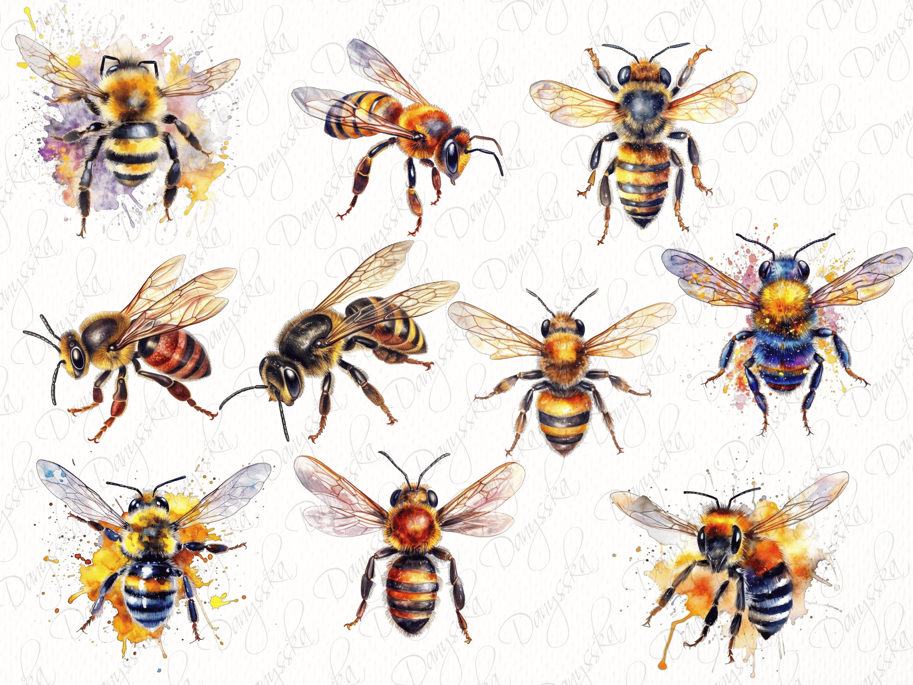 Watercolor Bee Honey Bee Watercolor Clipart Bees and - Etsy