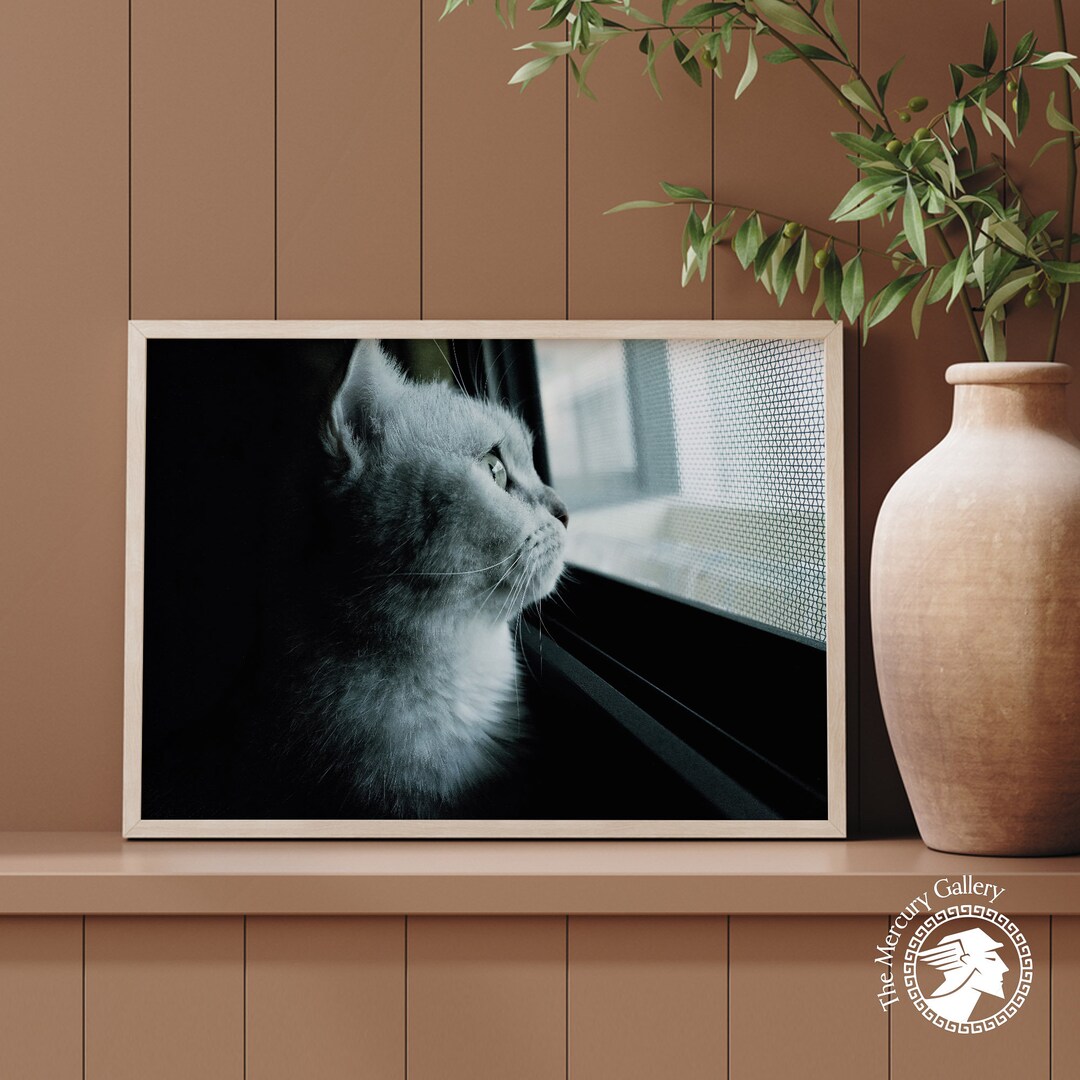 Cat Poster Print, White Cat Poster, Cat Art Print, Funny Cat Print - Etsy