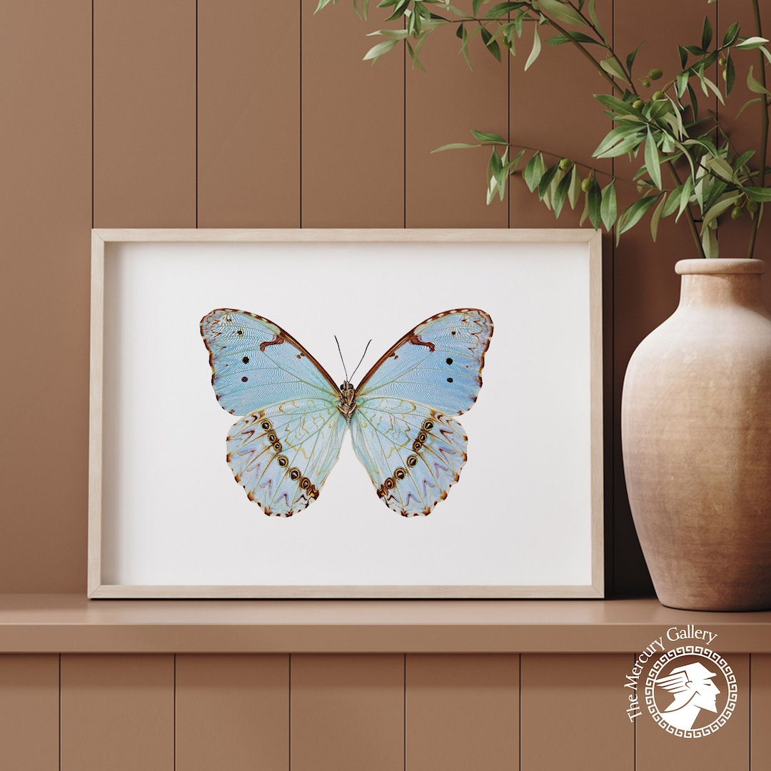 Blue Butterfly Print, Vintage Butterfly Decor, Rustic Butterfly Art ...