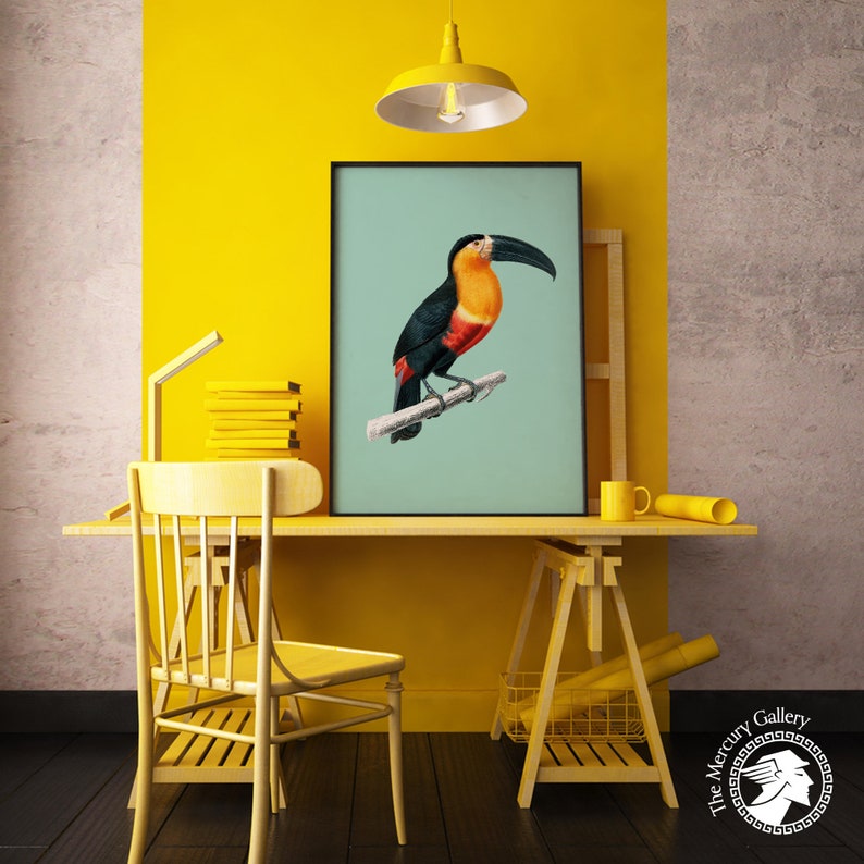 Vintage Toucan Wall Decor Toucan Art Print Tropical Jungle - Etsy