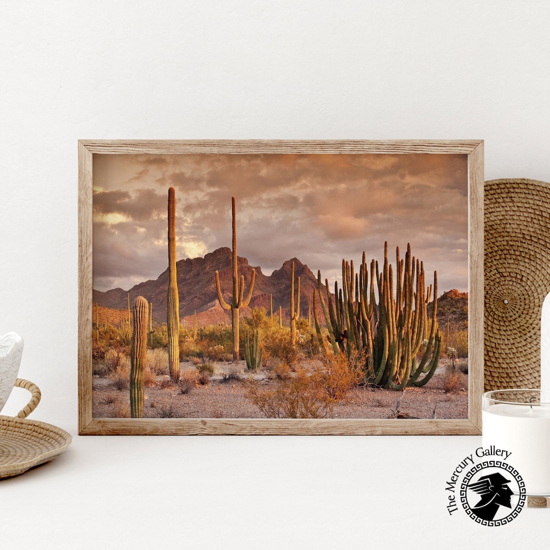 Vintage Desert Landscape Wall Art, Southwestern Decor, Desert Cactus ...