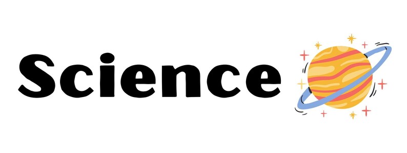 School Schedule Cards Checklist for Homeschool Children - Etsy