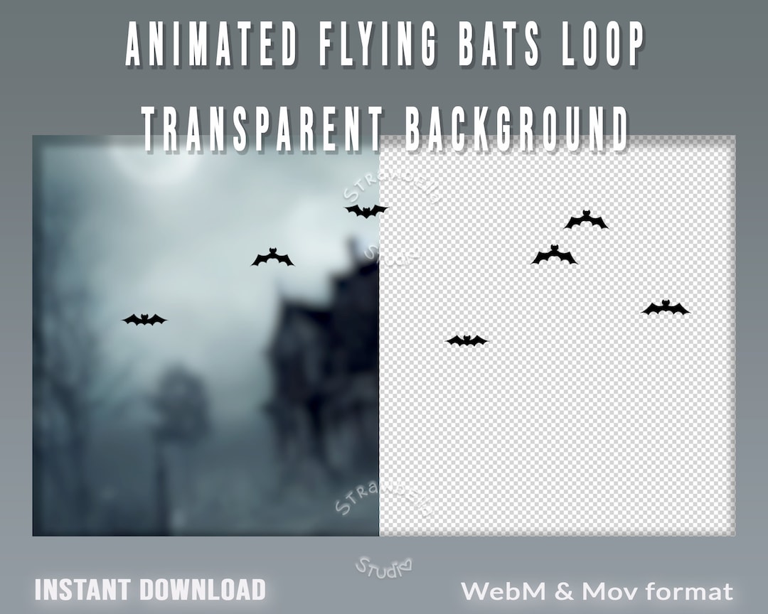 Animated Flying Bats Overlay. Twitch Bat Swarm. Halloween Livestream ...
