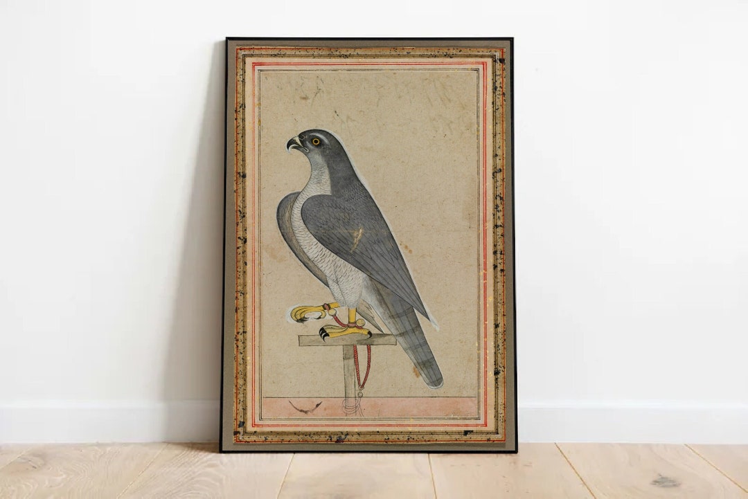 Indian Art, Indian Falcon Wall Art, Indian Mughal Miniature Painting ...