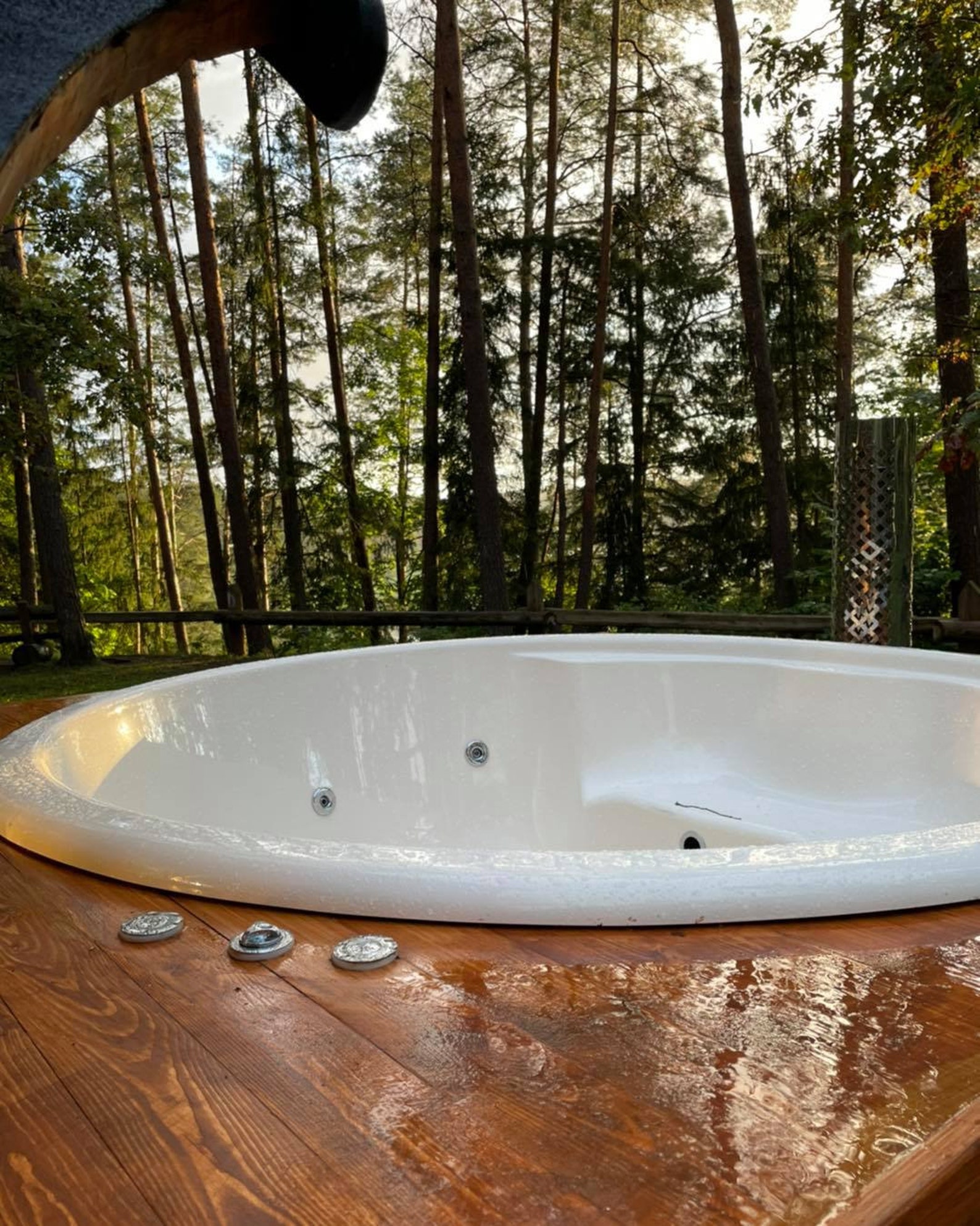 Thermo Hot Tube & Sauna - Etsy