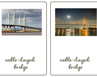 Montessori 3 Part Cards Parts of a Dragonfly - Etsy